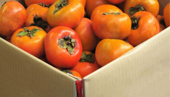 10 Foods that Trigger Constipation (with Healthier Alternatives)
