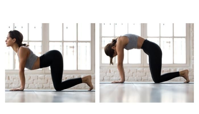 Yoga for Gallstone Relief: Poses & Breathing Techniques