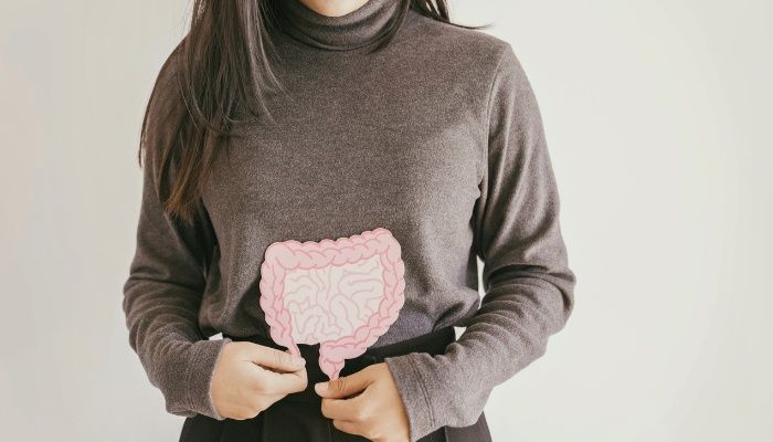 Gut Types Explained: How to Know Your Gut Type?